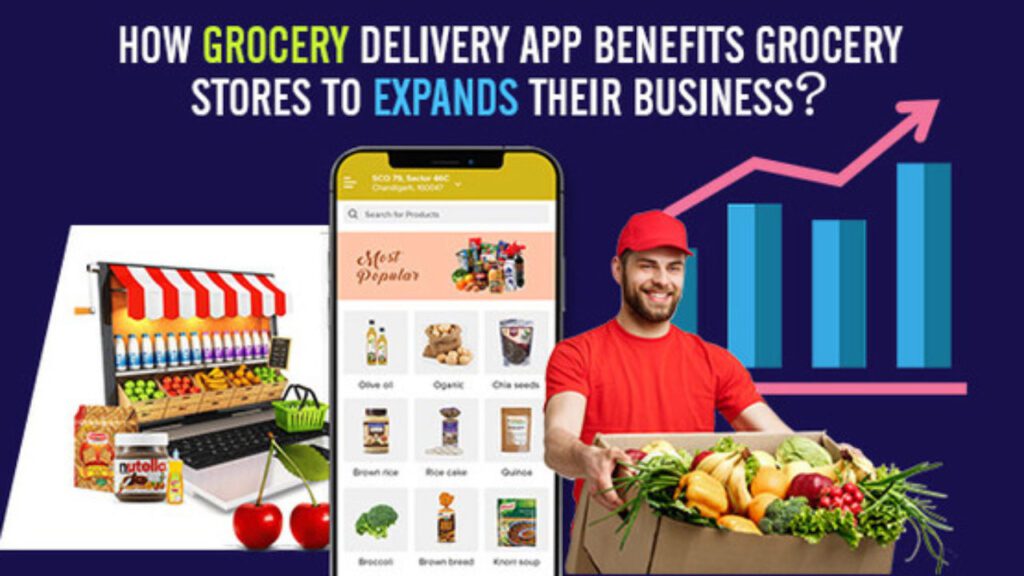 Online Grocery Shopping: Fresh, Fast & Convenient